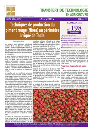 Techniques de production du piment rouge (Niora) au périmètre irrigué ...