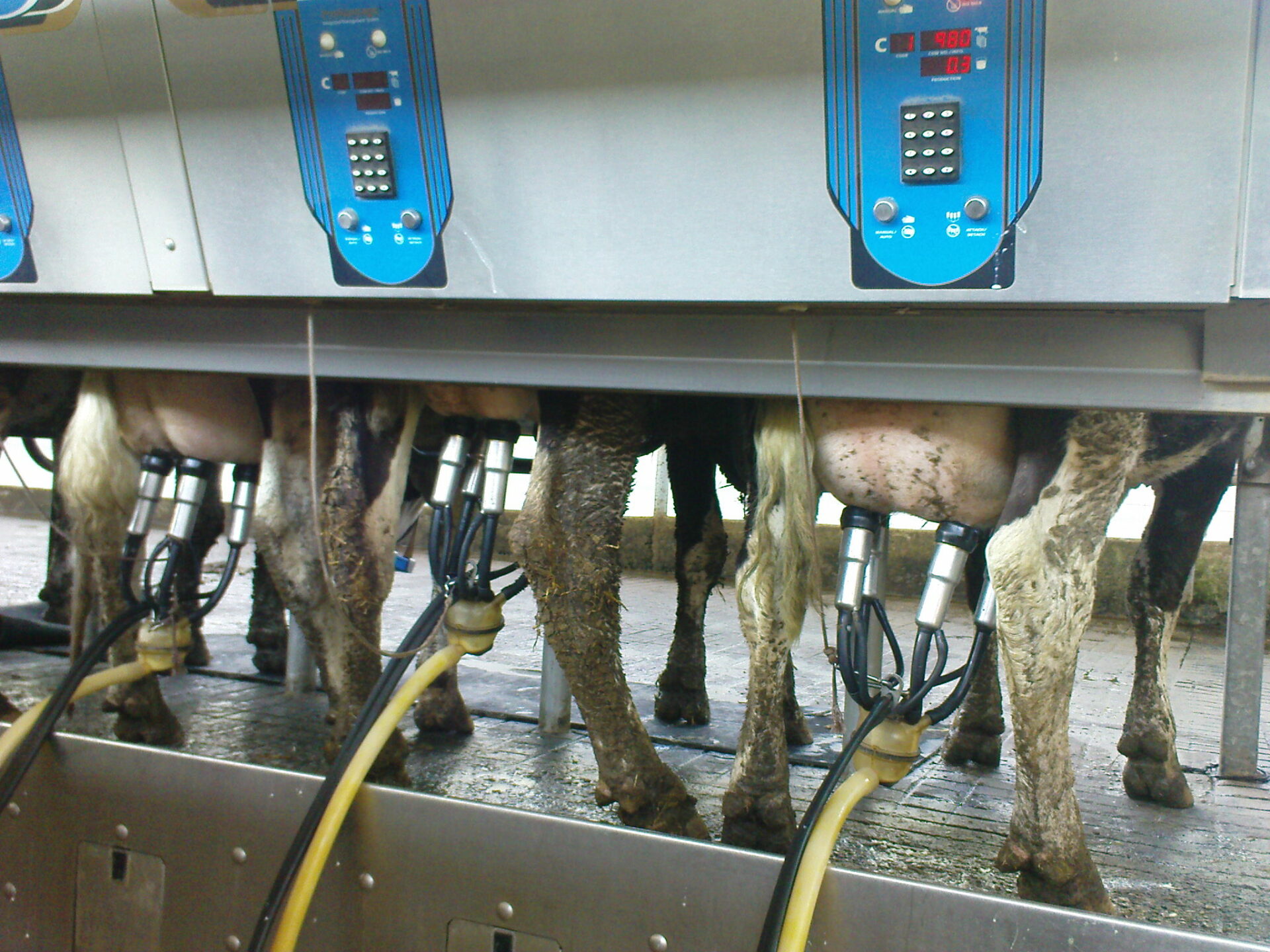 Gestion des grandes salles de traite au Maroc - Page 5 sur 9 ...