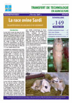 La race ovine Sardi: Ses performances en race pure et en croisement ...