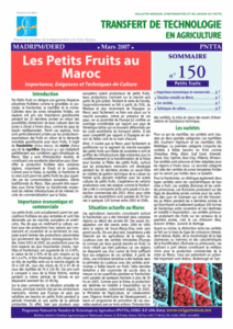 Les Petits Fruits au Maroc: Importance, Exigences et Techniques de ...