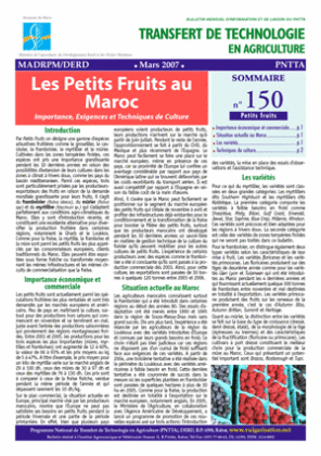 Les Petits Fruits au Maroc: Importance, Exigences et Techniques de ...