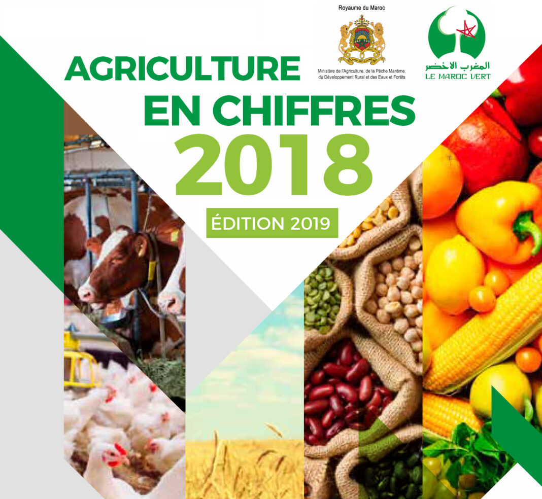Maroc: Agriculture en chiffres 2018 - Transfert de Technologie en Agriculture Maroc