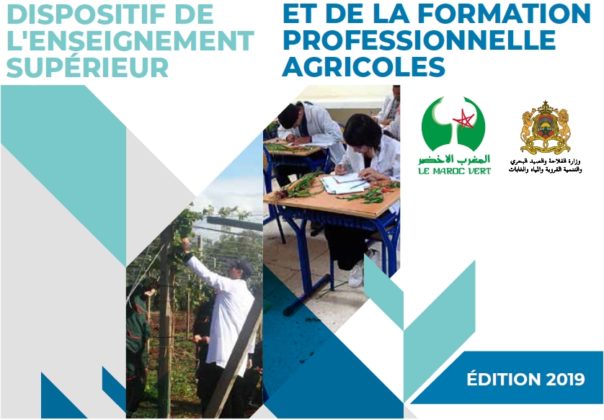 Dispositif de l'enseignement supérieur et de la formation professionnelle agricoles - Transfert ...