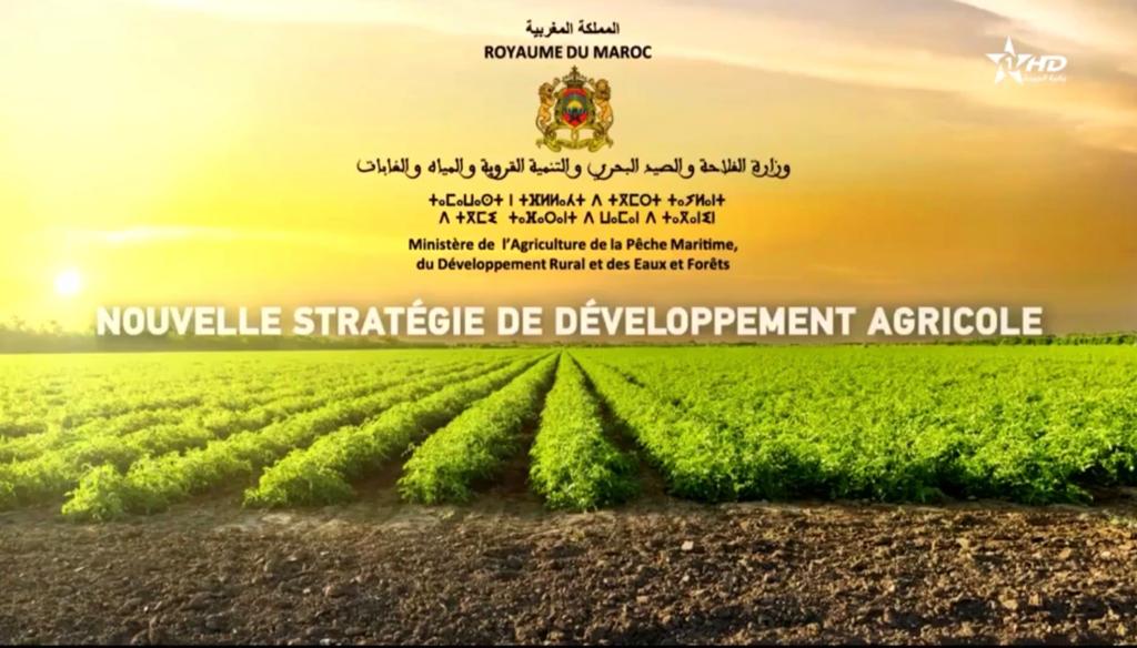 Génération Green: Nouvelle stratégie marocaine de développement ...