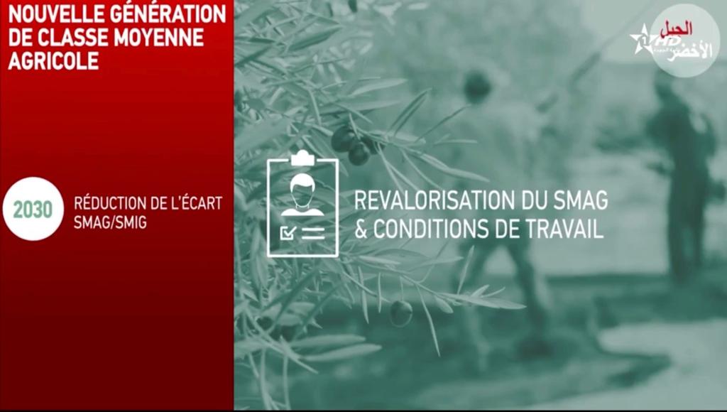 Génération Green: Nouvelle stratégie marocaine de développement ...