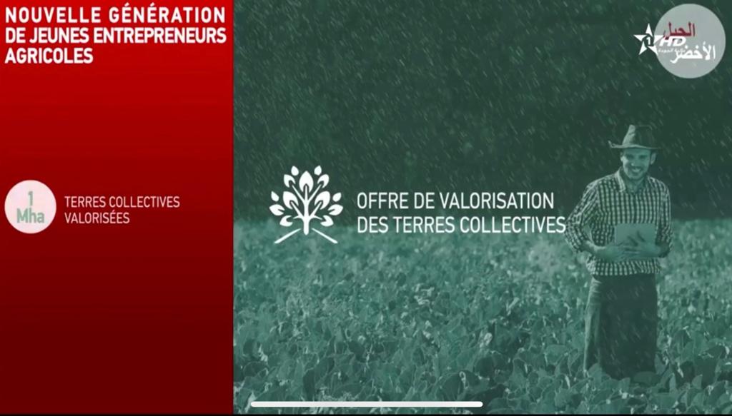 Génération Green: Nouvelle stratégie marocaine de développement ...