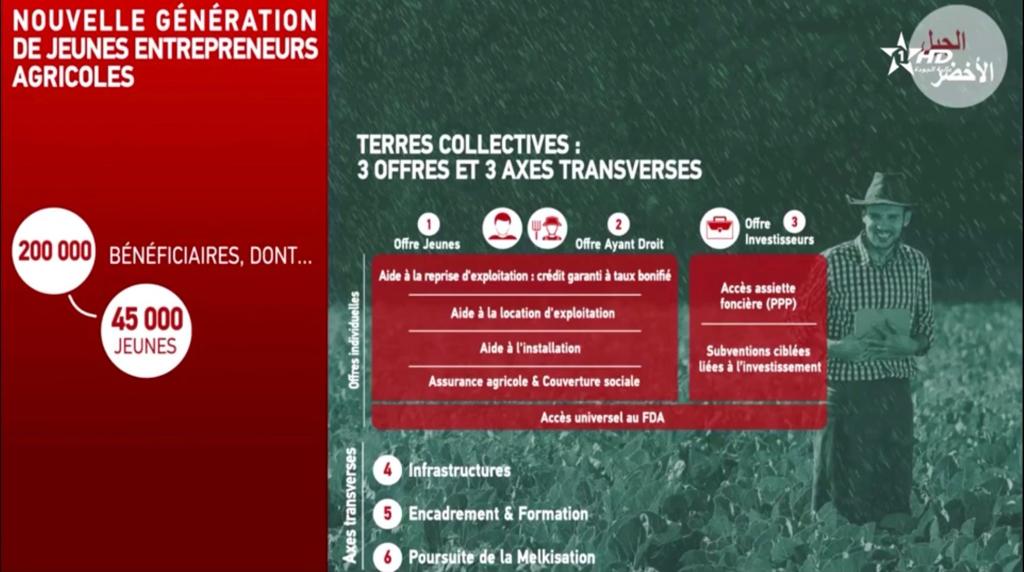 Génération Green: Nouvelle stratégie marocaine de développement ...