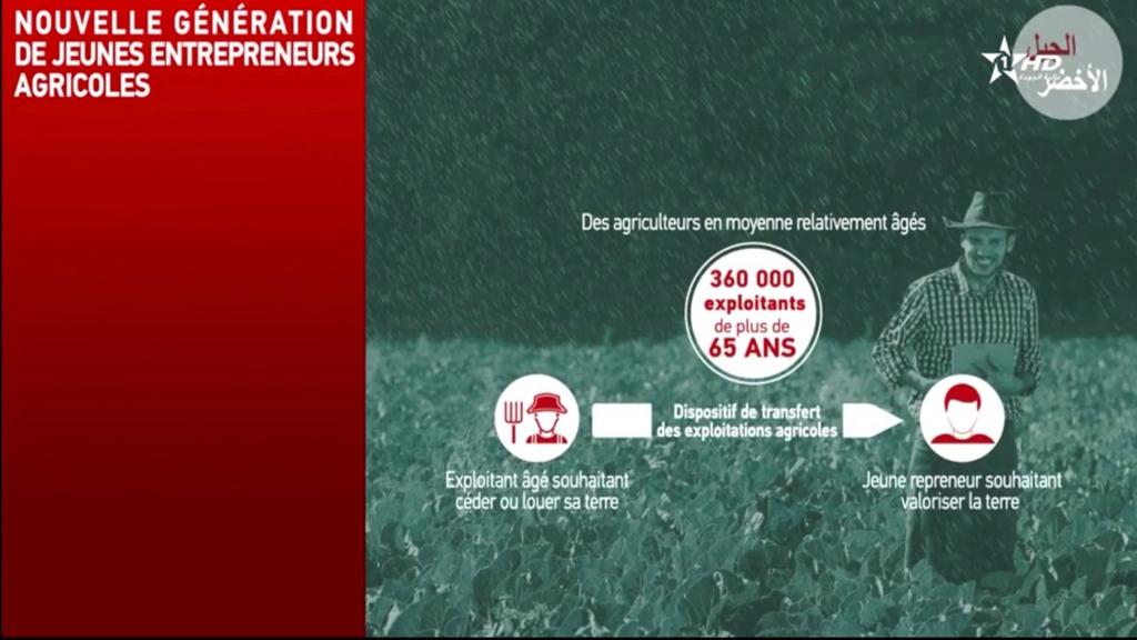 Génération Green: Nouvelle stratégie marocaine de développement ...