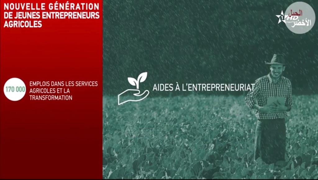 Génération Green: Nouvelle stratégie marocaine de développement ...