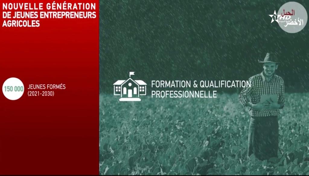Génération Green: Nouvelle stratégie marocaine de développement ...