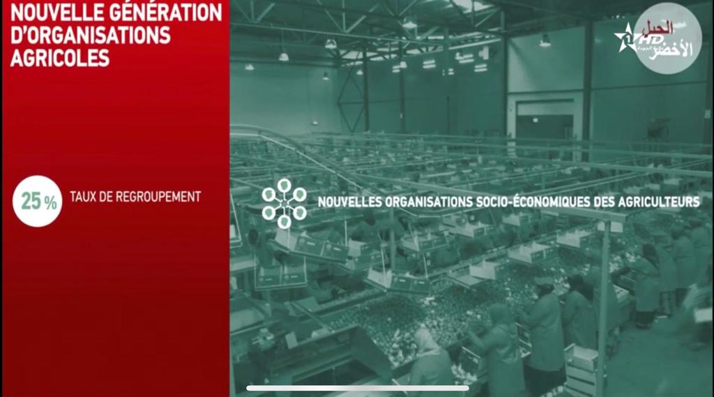 Génération Green: Nouvelle stratégie marocaine de développement ...