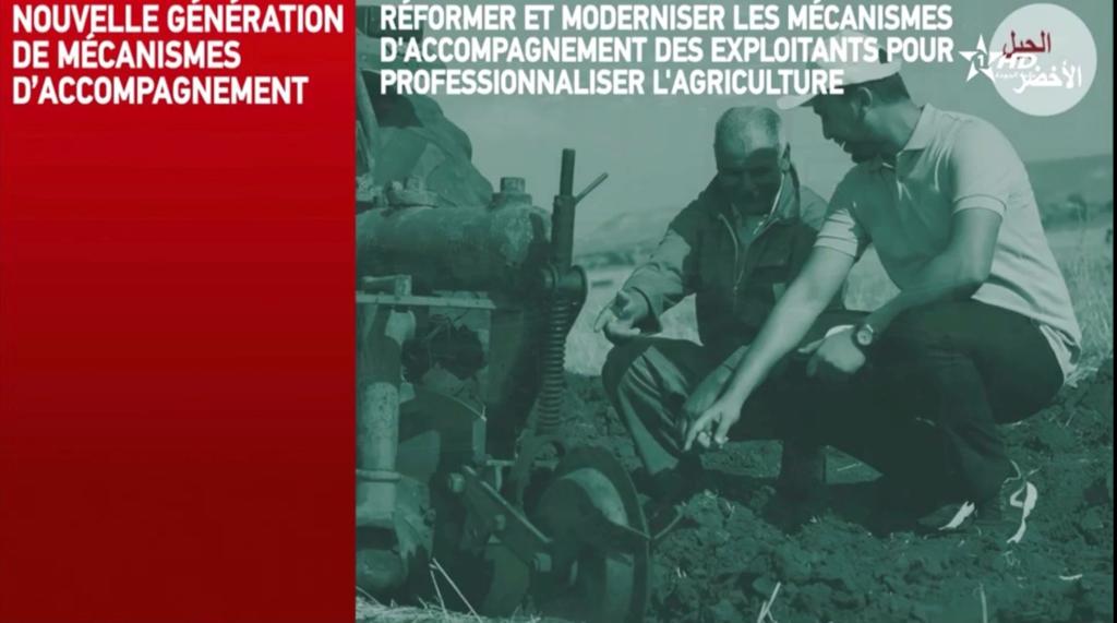 Génération Green: Nouvelle stratégie marocaine de développement ...
