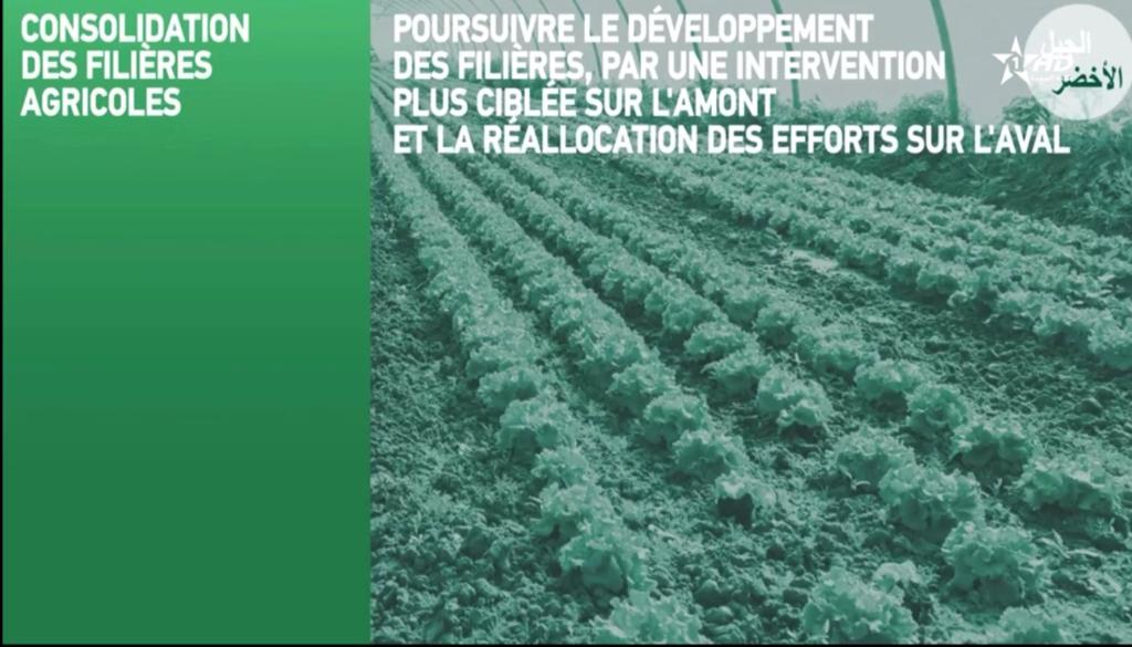 Génération Green: Nouvelle stratégie marocaine de développement ...