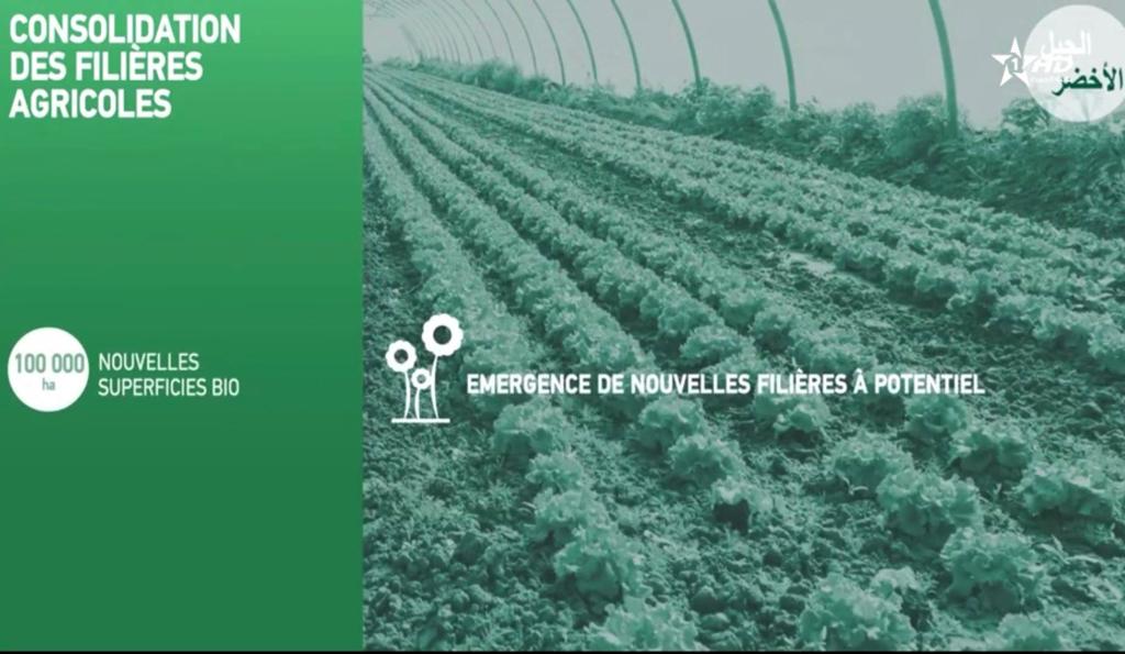 Génération Green: Nouvelle stratégie marocaine de développement ...
