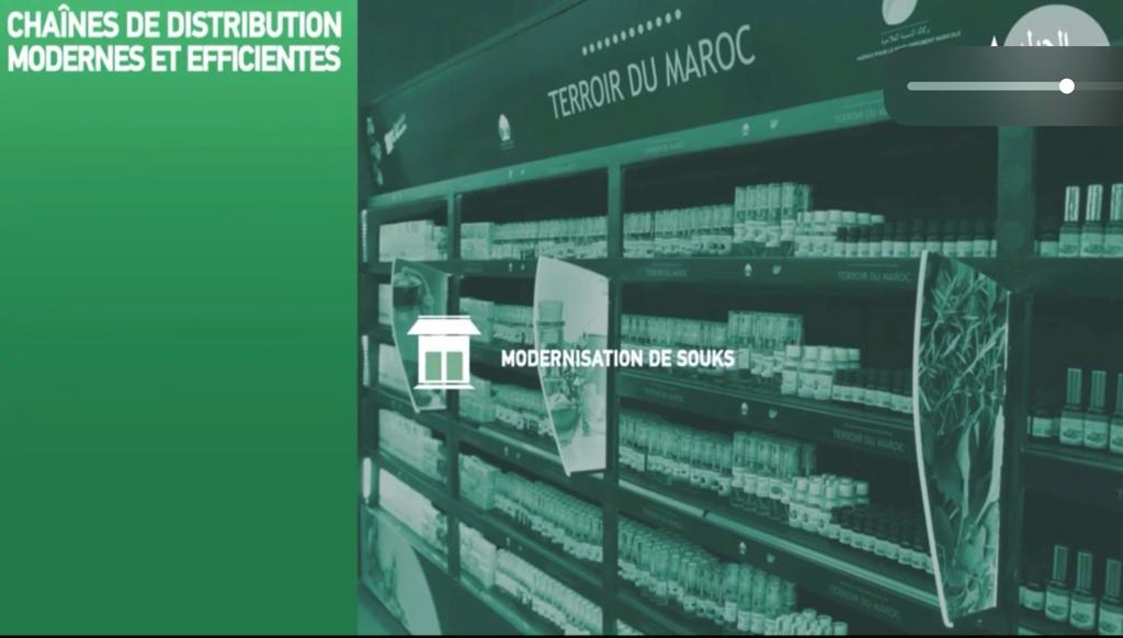 Génération Green: Nouvelle stratégie marocaine de développement ...