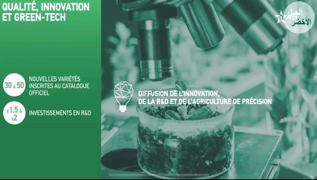 Génération Green: Nouvelle stratégie marocaine de développement ...