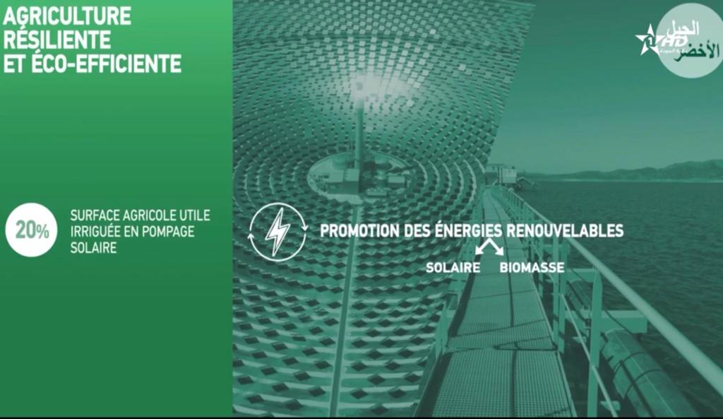 Génération Green: Nouvelle stratégie marocaine de développement ...