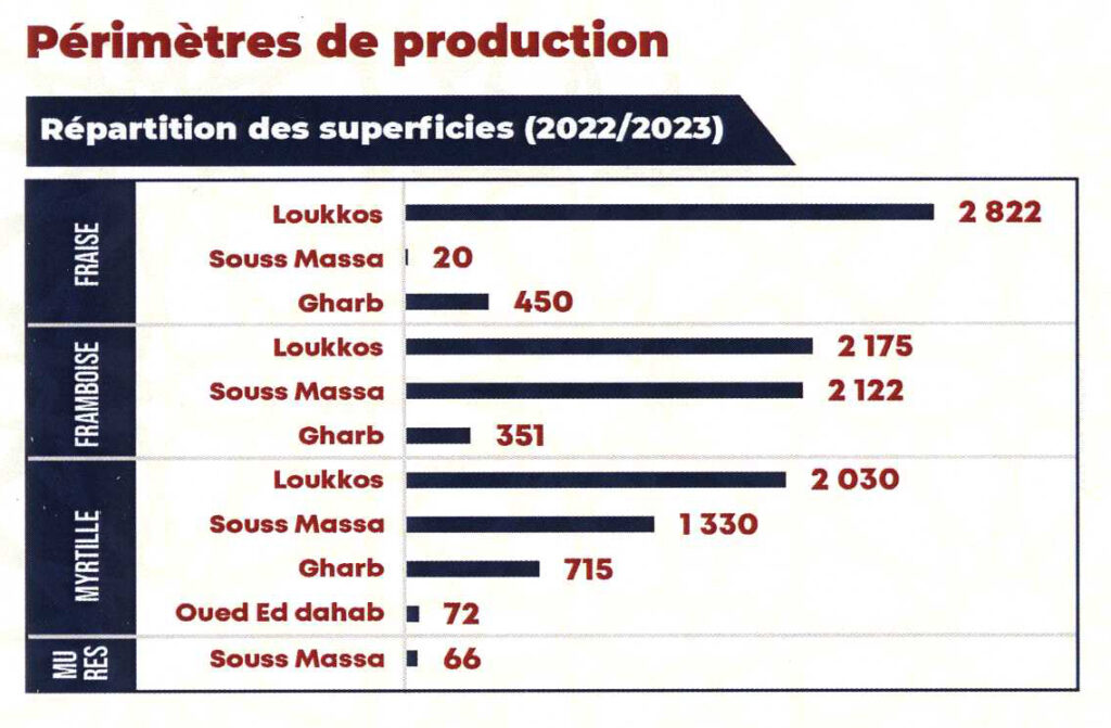 La filière marocaine des fruits rouges - Transfert de Technologie en ...