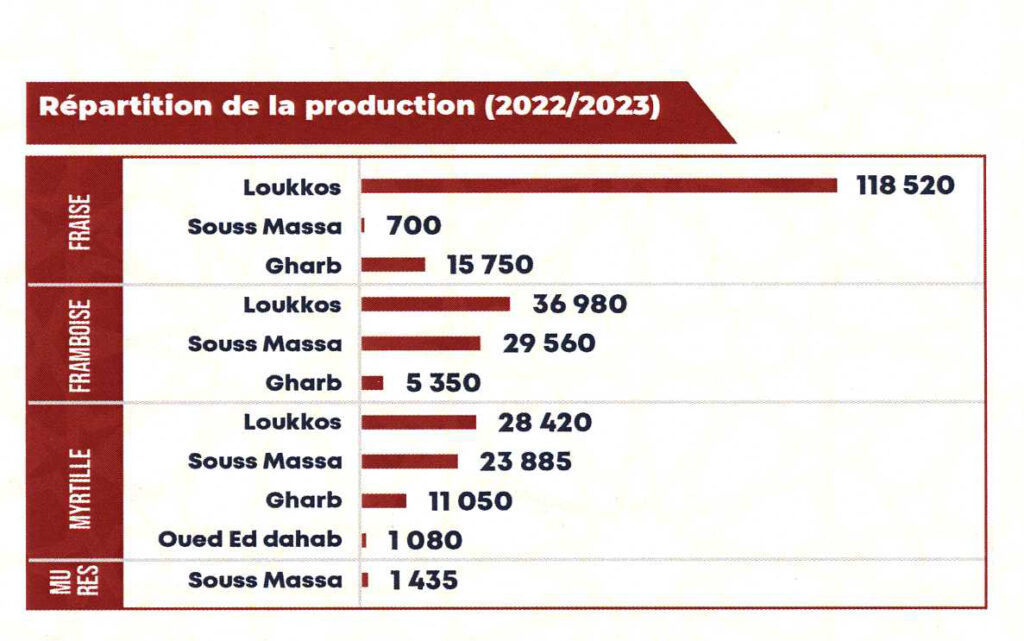 La filière marocaine des fruits rouges - Transfert de Technologie en ...