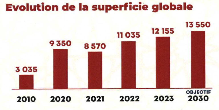 La filière marocaine des fruits rouges - Transfert de Technologie en ...
